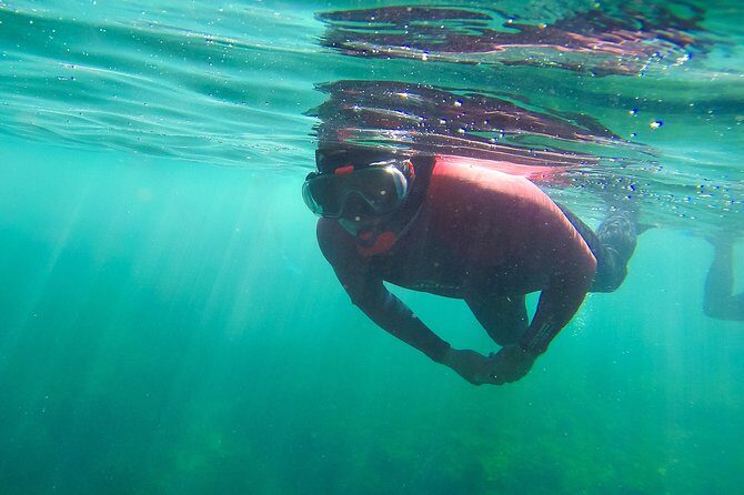 Snorkeling - Marine Park Discovery - What Travelers Say