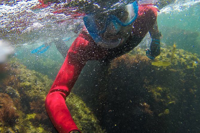 Snorkeling - Marine Park Discovery - Practical Tips for Enjoying the Tour