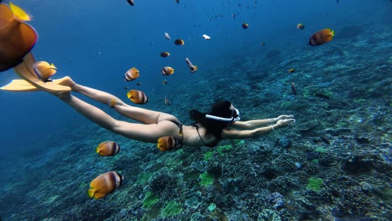 Snorkeling Nusa Penida Expedition 4 Point - An Overview of the Tour Experience