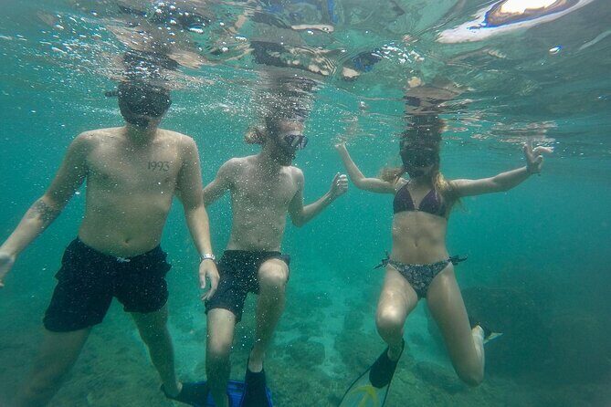 Snorkeling On Beautiful Rock Island - Unawatuna by Boat - Introduction: A Calm, Colorful Underwater Adventure in Unawatuna
