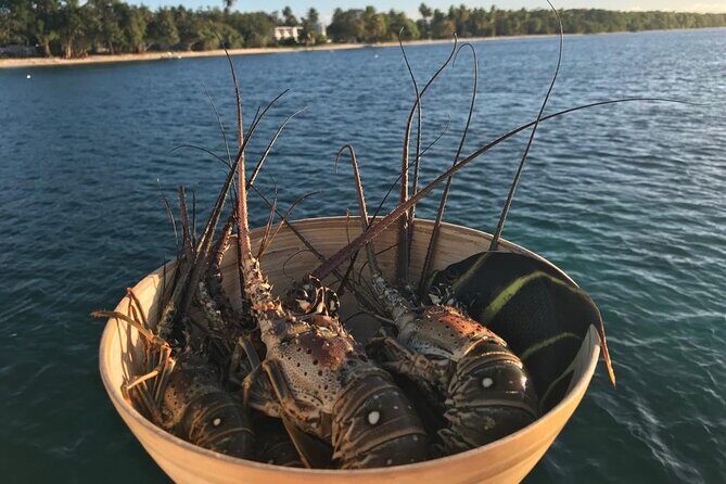 Snorkeling Paddle Private Catamaran 1/2 Day Turks and Caicos - Final Thoughts