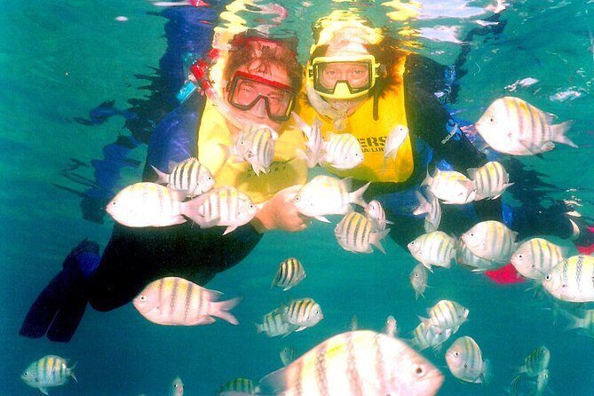 Snorkeling Party Boat in Punta Cana (Half Day) - Final Thoughts: Who Will Love This Tour?