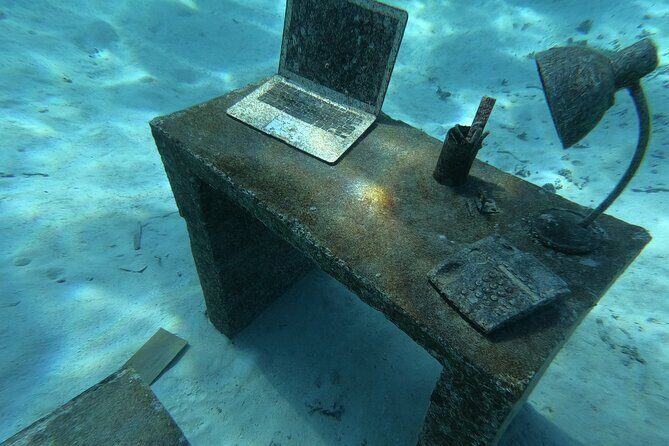 Snorkeling picnic in 5 hours with lunch in Tahiti - FAQ Section