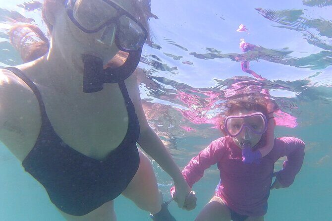 Snorkeling San Carlos with a Marine Biologist - Key Points