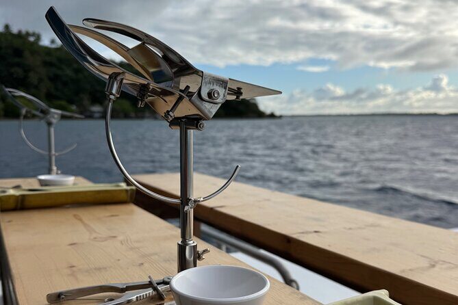 Snorkeling Shark Ray and Discovery DE the Black Pearl in Bora Bora - An In-Depth Look at the Tour