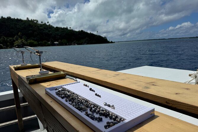 Snorkeling Shark Ray and Discovery DE the Black Pearl in Bora Bora - Final Thoughts