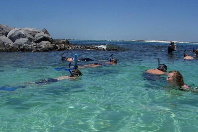Snorkeling, Shelling & Eco Excursion - What’s Not So Perfect