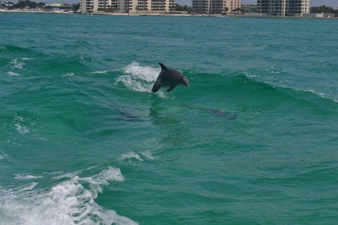 Snorkeling, Shelling & Eco Excursion - FAQs