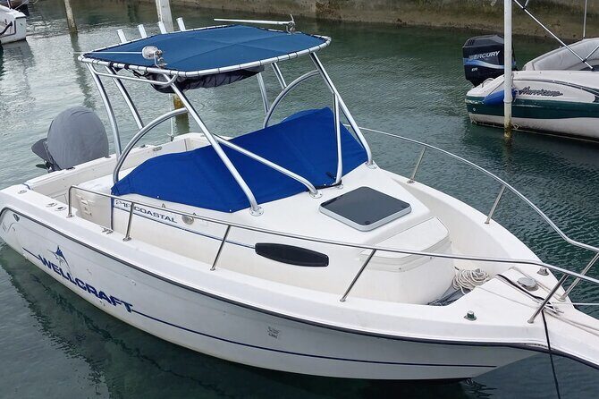 Snorkeling, Swim with Turtles & Beach Day - A Closer Look at the Tour Experience