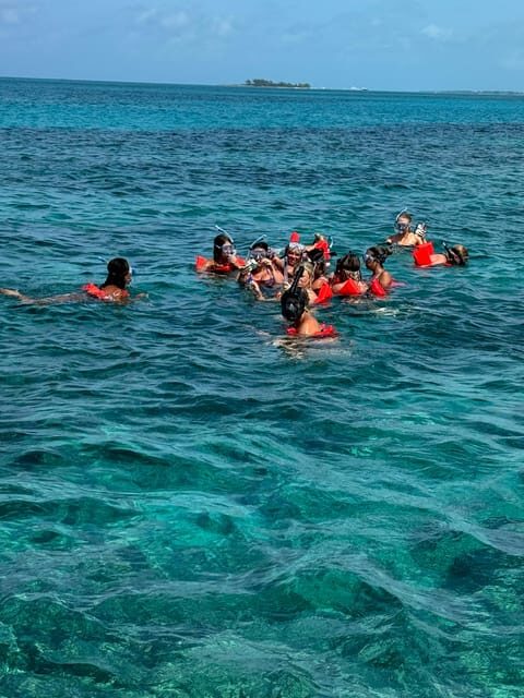 snorkeling, swimming pigs , turtles, harbor tour - Authentic Experiences and Guest Feedback