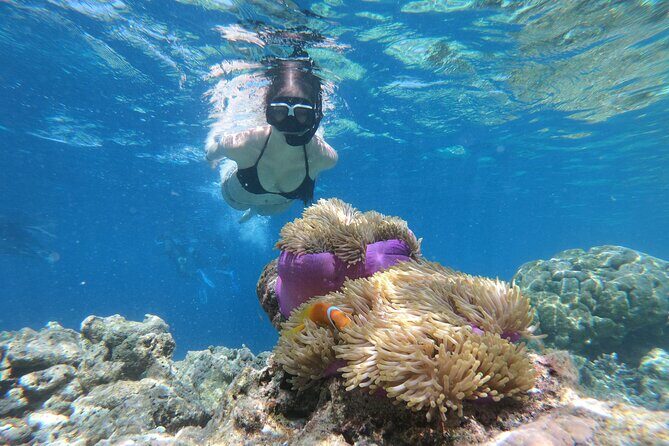 Snorkeling Tour at Blue Lagoon with Private Hotel Transfer - Snorkeling Tour at Blue Lagoon with Private Hotel Transfer: A Clear Choice for Balancing Convenience and Nature