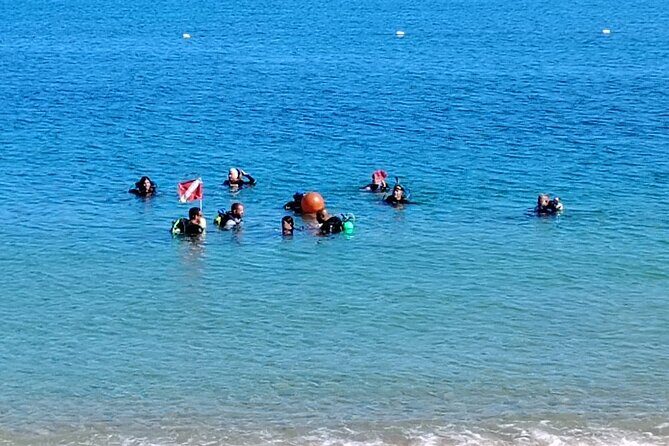 Snorkeling Tour at Cerro Gordo Beach Vega Alta Puerto Rico - Who Will Appreciate This Tour?
