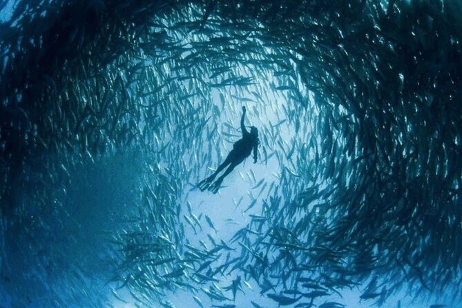 Snorkeling Tour at Land's End in Cabo San Lucas - An In-depth Look at the Experience