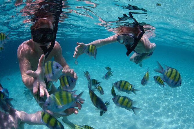 Snorkeling Tour at Land's End in Cabo San Lucas - The Bottom Line