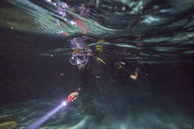Snorkeling tour by boat on Moorea - The Sum Up: Is this the right snorkel tour for you?