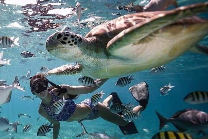 Snorkeling Tour In Gili Islands Pick Up From Lombok Or Gili - Why This Tour Is Perfect for You