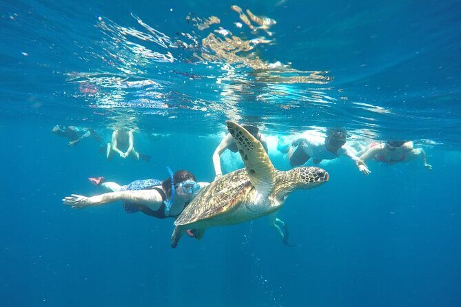 Snorkeling Tour In Gili Islands Pick Up From Lombok Or Gili - The Sum Up: Who’s This Tour For?
