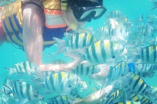 Snorkeling Tour In Gili Nanggu - Introduction