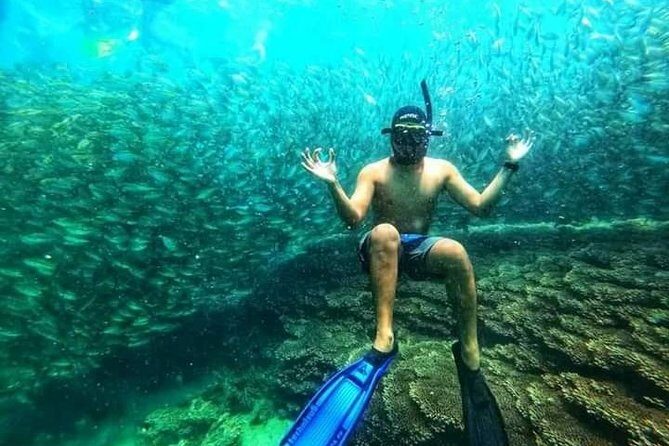 Snorkeling Tour In Gili Nanggu - What Makes This Tour Stand Out?