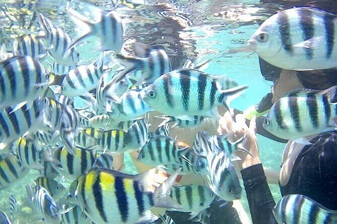 Snorkeling Tour In Gili Nanggu - FAQ
