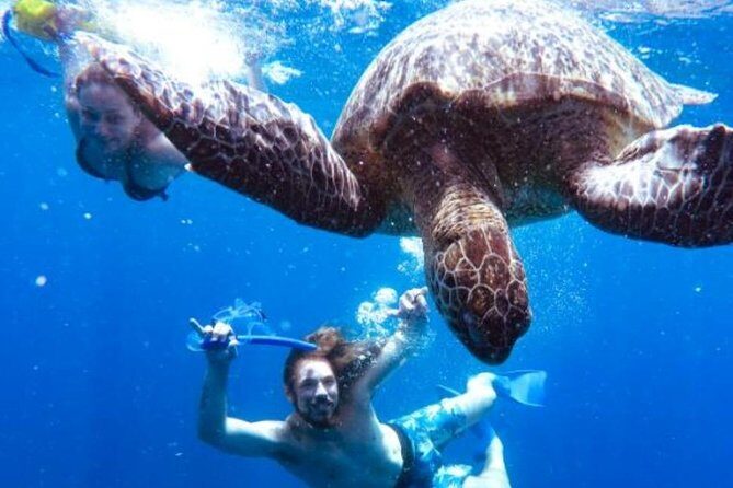 Snorkeling Tour In Gili Trawangan, Gili Meno And Gili Air Pick Up From Bali - Journey Through the Gili Islands: A Full Breakdown