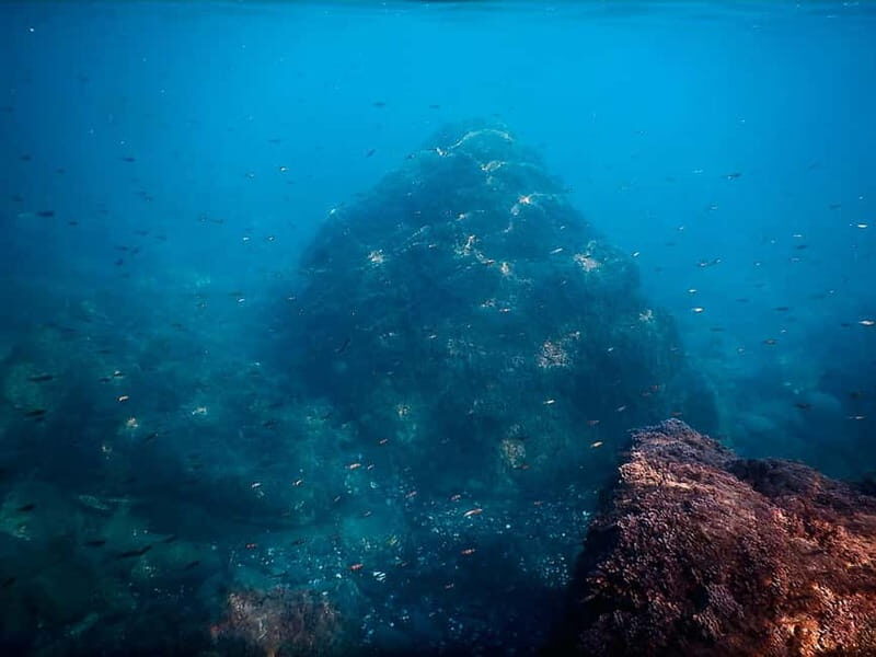 Snorkeling Tour in Levanto: Discover the Wonders of the Sea! - Introduction: What You Can Expect from the Levanto Snorkeling Tour