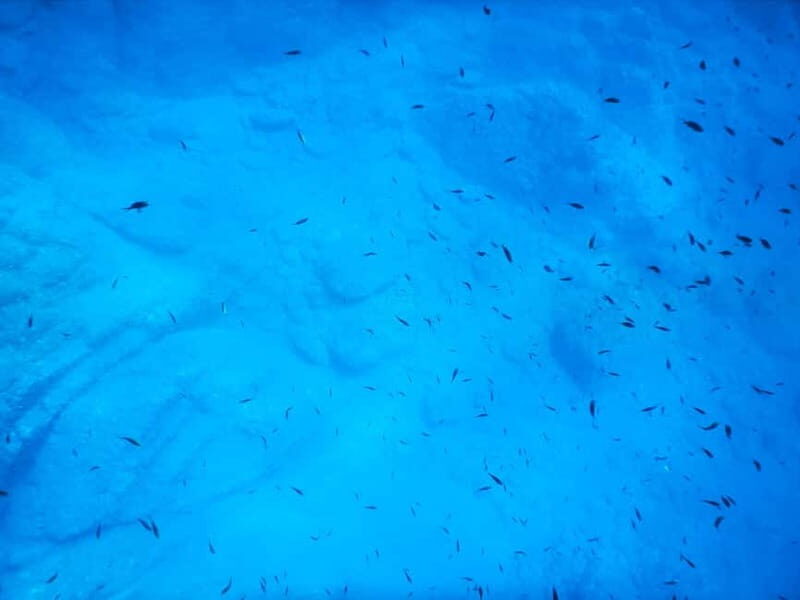 Snorkeling Tour in Levanto: Discover the Wonders of the Sea! - Considerations Before Booking