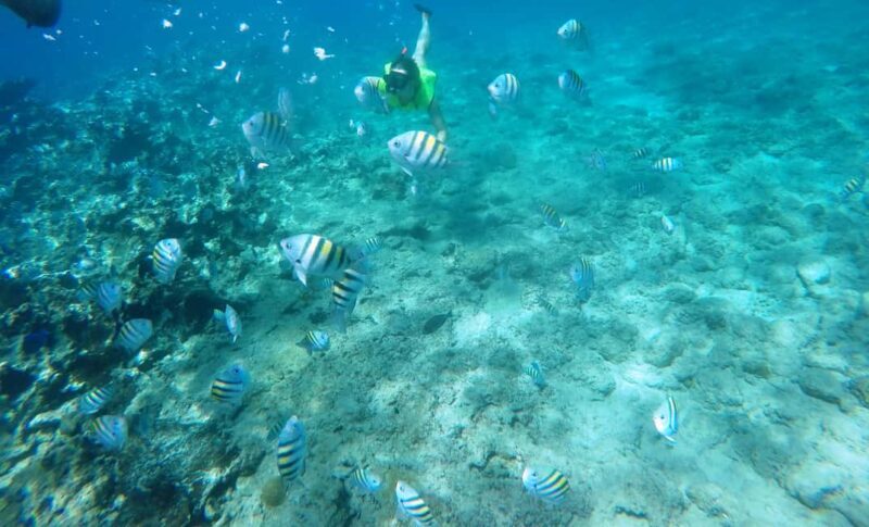 Snorkeling Tour & Sosua Beach Day - Key Points