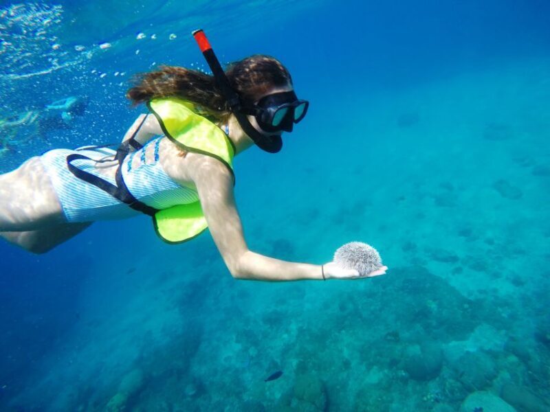 Snorkeling Tour & Sosua Beach Day - FAQs About the Snorkeling & Sosua Beach Day Tour