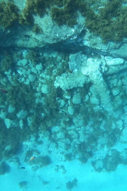 Snorkeling Tour- Vila Franca do Campo Islet - What’s Included & Practical Details