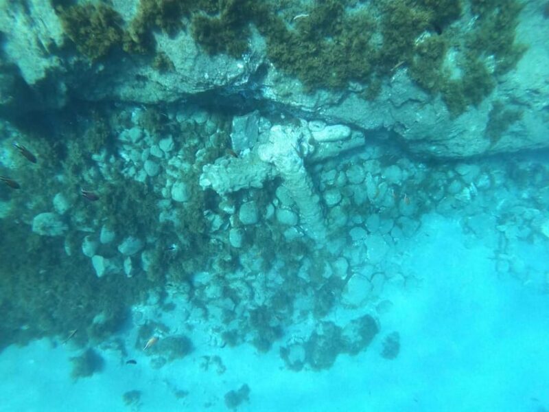 Snorkeling Tour- Vila Franca do Campo Islet - Authentic Experiences and Guest Feedback