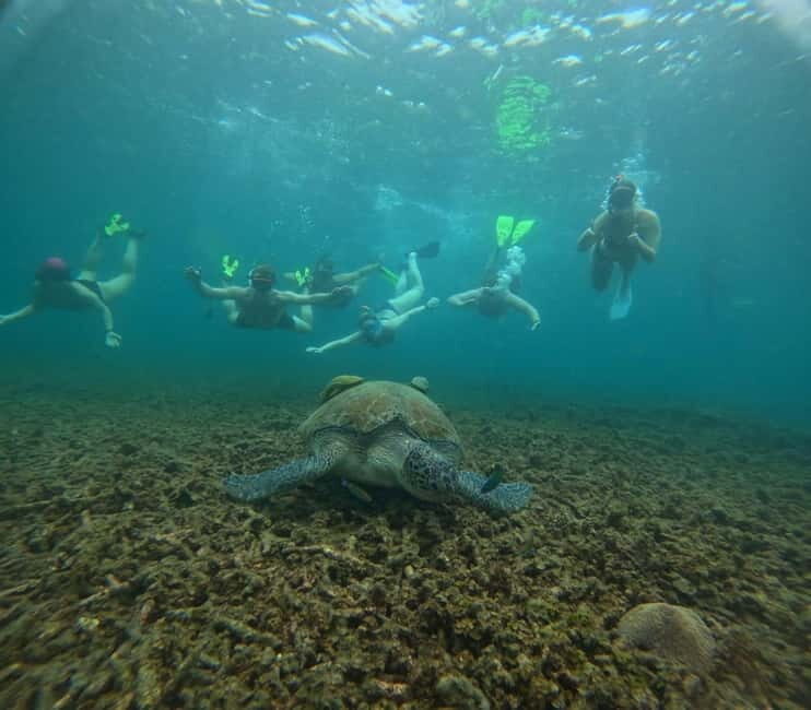 Snorkeling Tour with meals and BBQs - Cocktail - Sunset - An In-Depth Look at the Experience