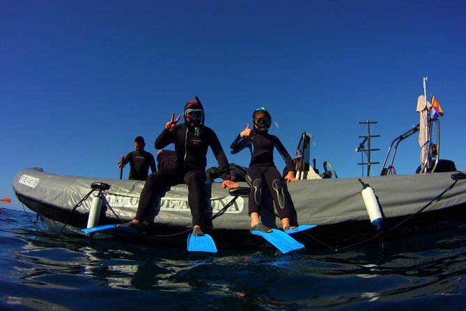 Snorkeling Tour with Sea Turtles and Stingrays - Authentic Reviews: A Balanced Perspective