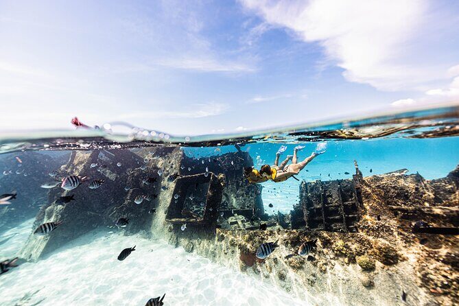Snorkeling Tour with Turtles and Stingrays Puerto Morelos - The Itinerary in Detail
