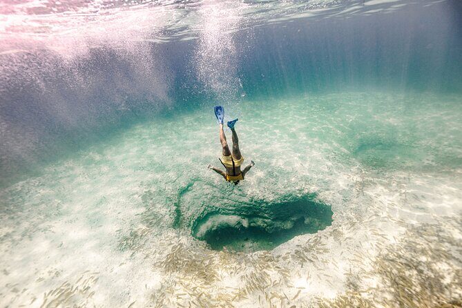 Snorkeling Tour with Turtles and Stingrays Puerto Morelos - Authenticity and Experience Quality