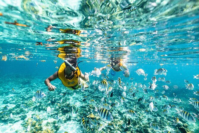Snorkeling Tour with Turtles and Stingrays Puerto Morelos - Final Thoughts: Is This Tour for You?