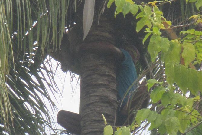 Snorkeling & Trekking at West Bali National Park - The Experience Beyond the Itinerary