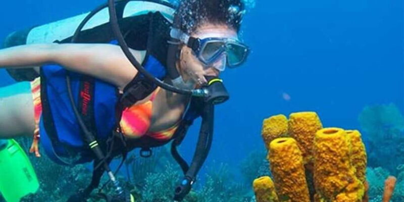Snorkeling Trip from Polhena Beach, Matara, Sri Lanka - Key Points