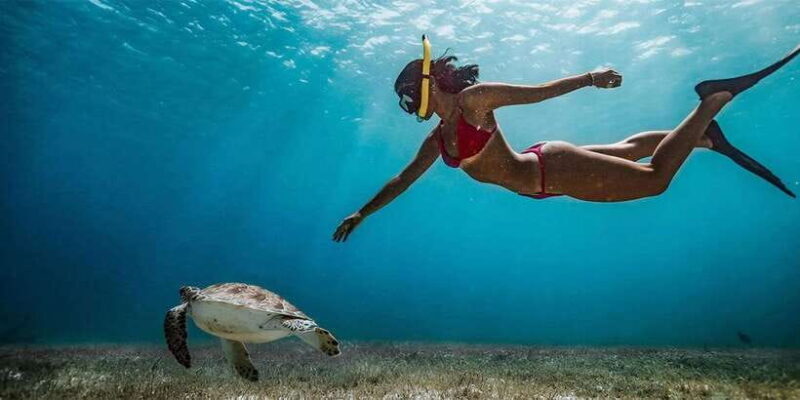 Snorkeling Trip from Polhena Beach, Matara, Sri Lanka - An Honest Look at the Snorkeling Experience
