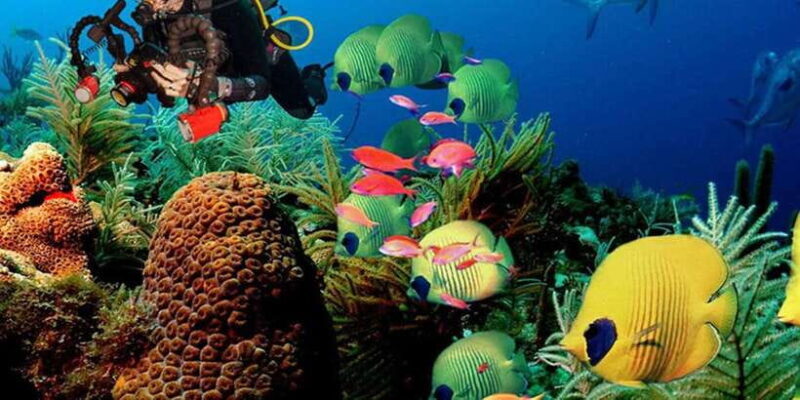Snorkeling Trip from Polhena Beach, Matara, Sri Lanka - Who Will Appreciate This Experience?