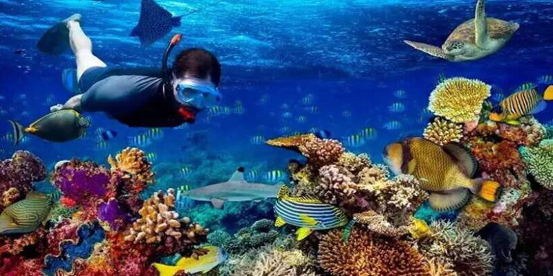 Snorkeling Trip from Polhena Beach, Matara, Sri Lanka - FAQ