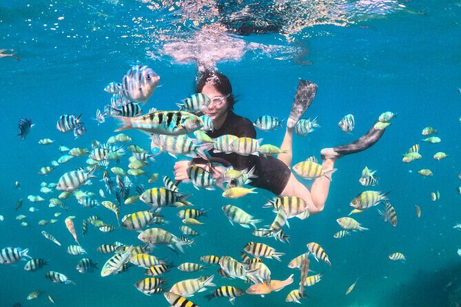 Snorkeling Trip Gili Gede, Asahan, Rengit, Layar and Goleng - Who Will Love This Tour?