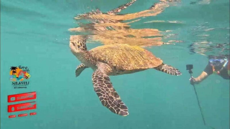 Snorkeling Trip To Pigeon Island - Key Points