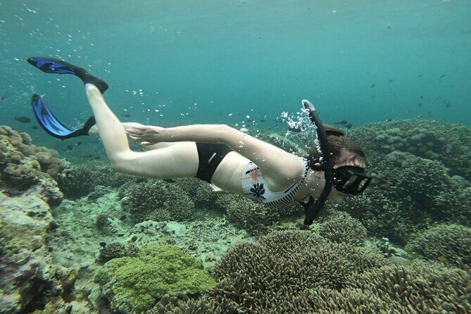Snorkeling Trips with Manta Ray from Nusa Lembongan - Who Will Get the Most Out of This Tour?