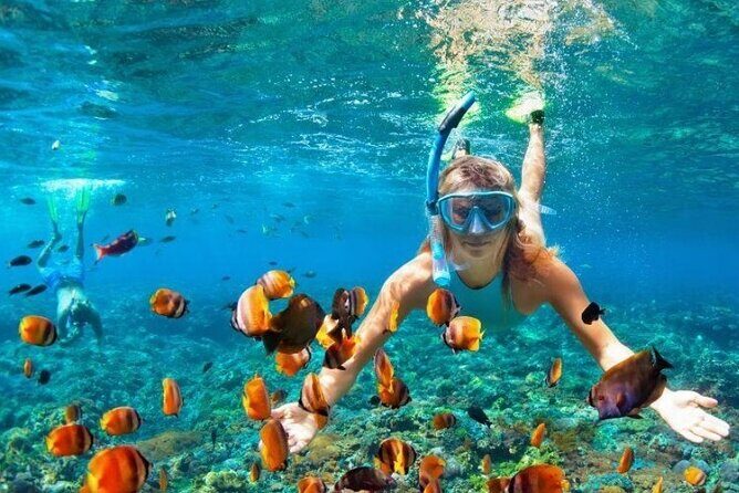 Snorkeling Water Private Activity In Montego Bay Jamaica - Authenticity and Traveler Feedback