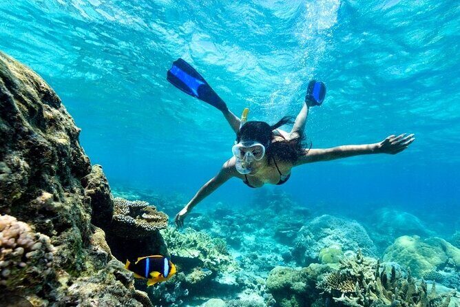 Snorkeling Water Private Activity In Montego Bay Jamaica - Who Should Consider This Tour?
