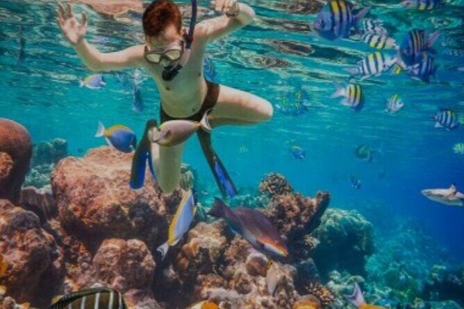 Snorkeling with Margaritaville and shops on Hipstrip activity - How the Tour Works: Step by Step