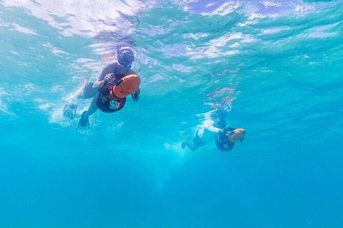Snorkeling with Sea Scooters and Sea Adventure - Offshore - Final Thoughts: Who Will Love This Tour?