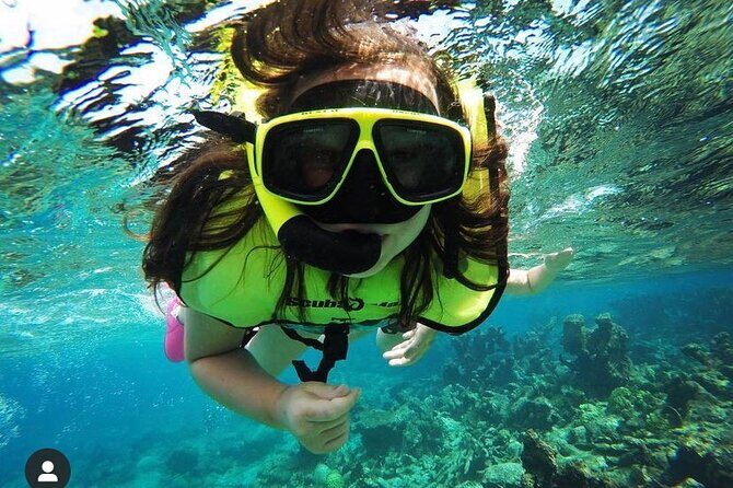 Snorkeling with Sea Turtles - A Closer Look at Rainbow Beach and What It Offers