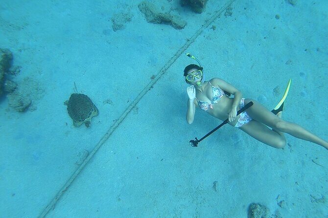 Snorkeling with Sea Turtles - Analyzing the Price and Overall Value